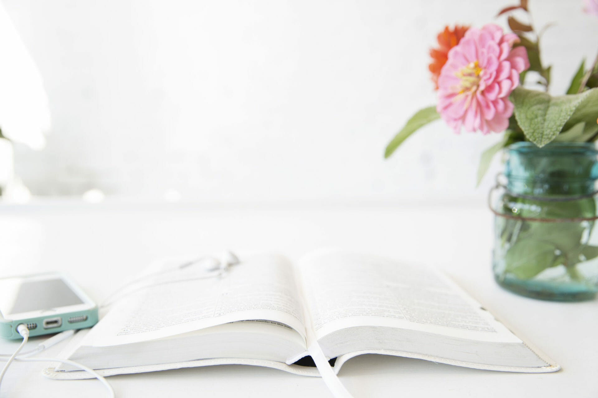 Dig In Bible Study – Susan Cady