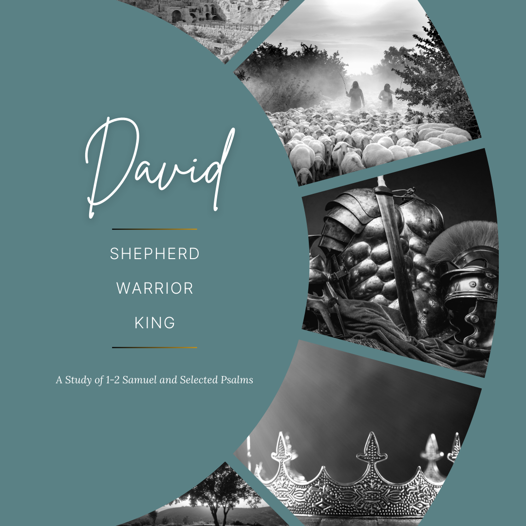 Suffering Study Blog Graphic – Susan Cady